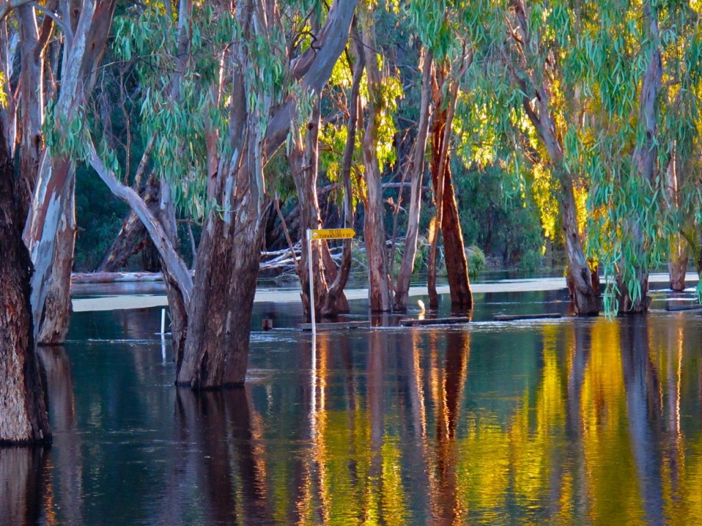 A deep or surface approach to development – what can learning research ...