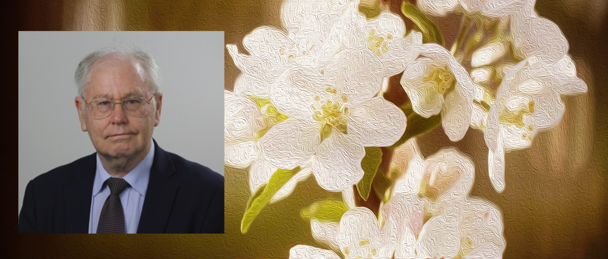 Vale-Peter-McCawley - Devpolicy Blog from the Development Policy Centre