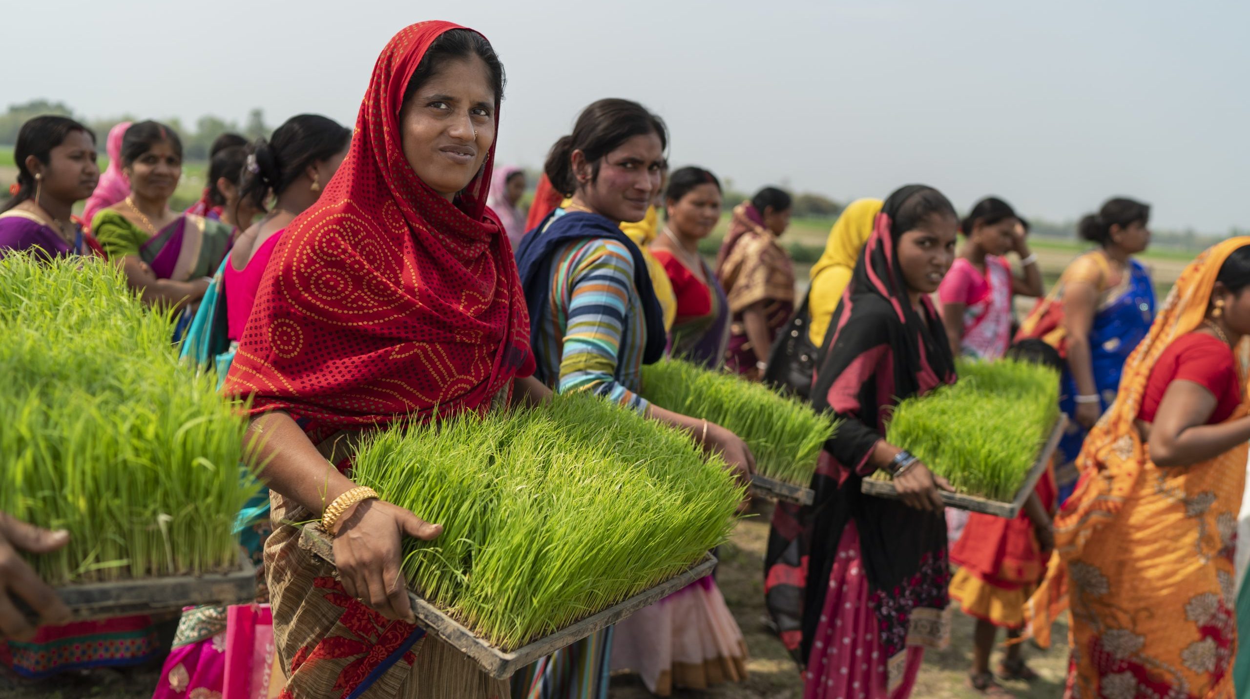 Women working in and sustaining agriculture worldwide - Devpolicy Blog ...