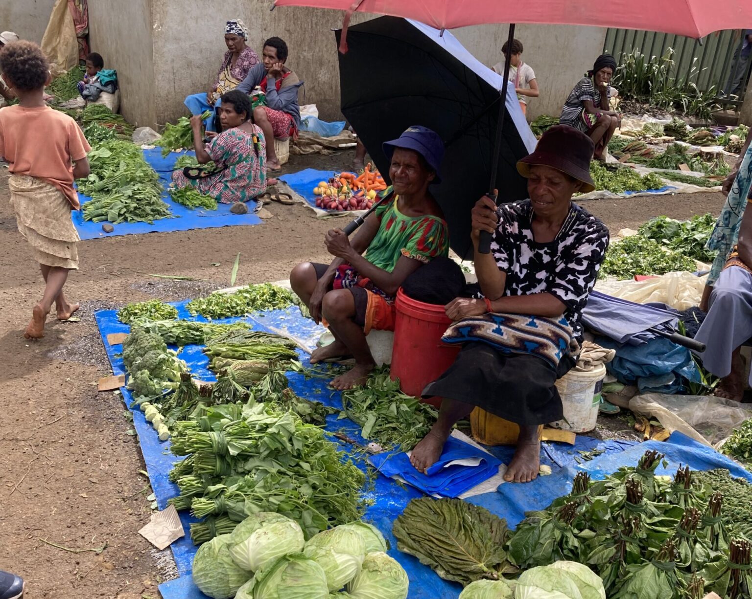 Food security challenges in rural PNG - Devpolicy Blog from the ...