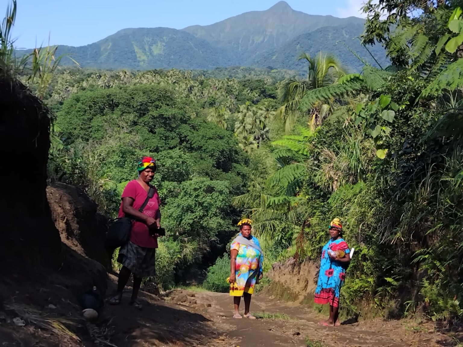 Vanuatu leads the way in reducing violence against women - Devpolicy ...